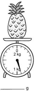 Math in Focus Grade 3 Chapter 11 Practice 3 Answer Key Kilograms and ...