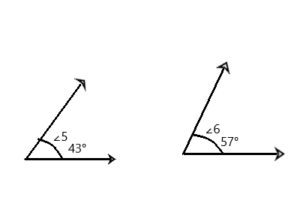 Math in Focus Grade 7 Chapter 6 Review Test Answer Key – Math in Focus ...